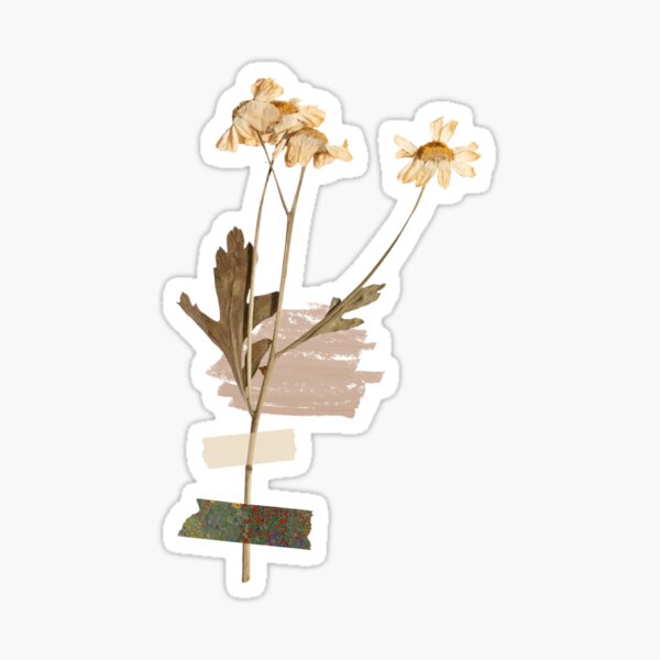 "Dried, Pressed Flower sticker" Sticker for Sale by hwayoungi | Redbubble