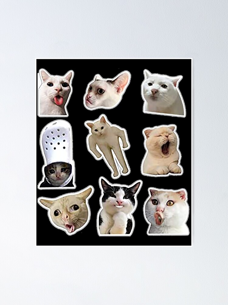 "Meme Cats Pack" Poster for Sale by Creativity-Star | Redbubble