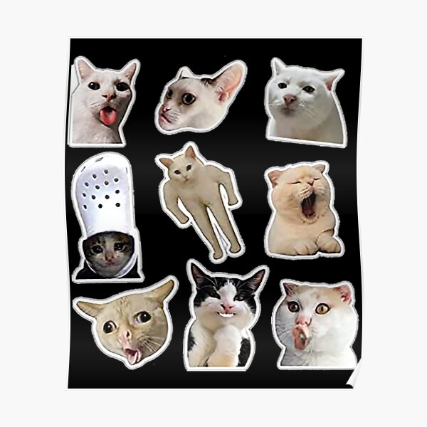 "Meme Cats Pack" Poster for Sale by Creativity-Star | Redbubble