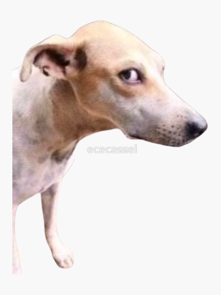 "side eye dog" Sticker for Sale by ececassel | Redbubble