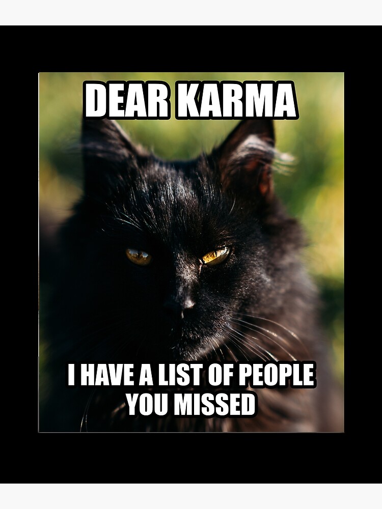 "Dear Karma I have a list of people you missed - Cat Meme" Art Print ...