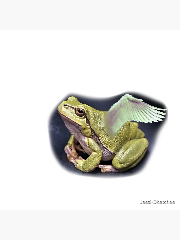 "Frog Angel" Poster for Sale by Jessi-Sketches | Redbubble