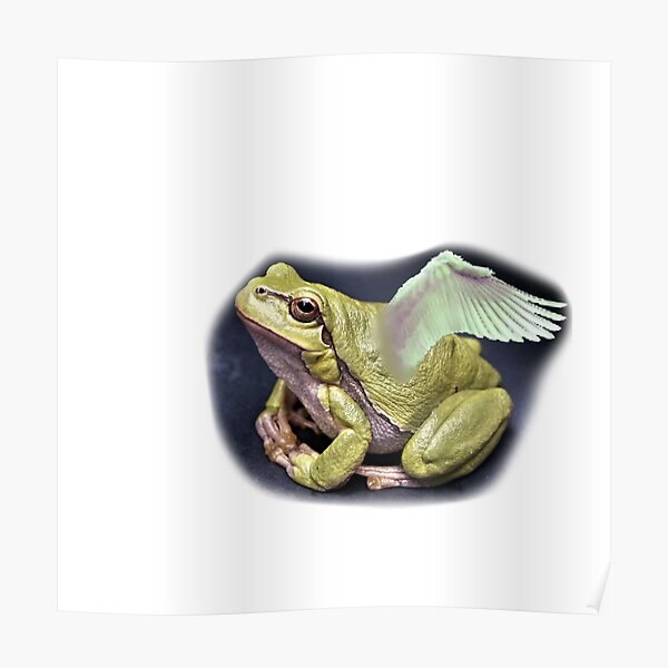 "Frog Angel" Poster for Sale by Jessi-Sketches | Redbubble