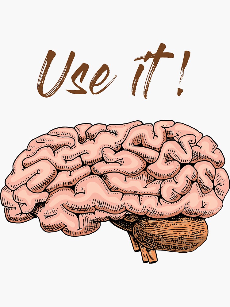 "Brain use memes" Sticker for Sale by amiimer | Redbubble