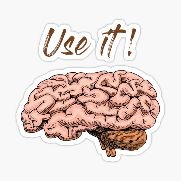 "Brain use memes" Sticker for Sale by amiimer | Redbubble