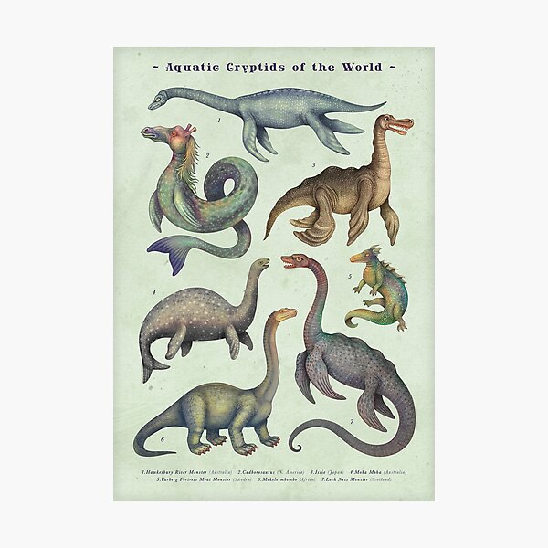 "Aquatic Cryptids, Cryptozoology species, Sea Monsters" Photographic Print for Sale by ...