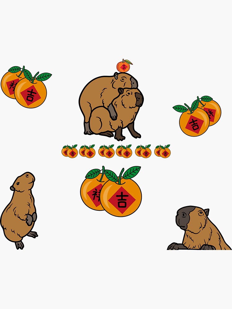 "Capybara With Mandarin Orange" Sticker for Sale by Alvarendra | Redbubble