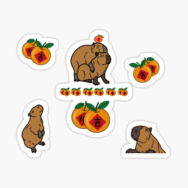 "Capybara With Mandarin Orange" Sticker for Sale by Alvarendra | Redbubble