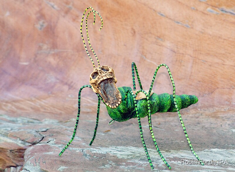"Freaky Bug" by Robin Fortin IPA | Redbubble
