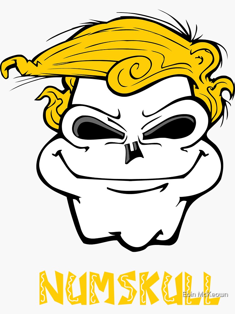 "Numskull " Sticker by Eoinymac | Redbubble