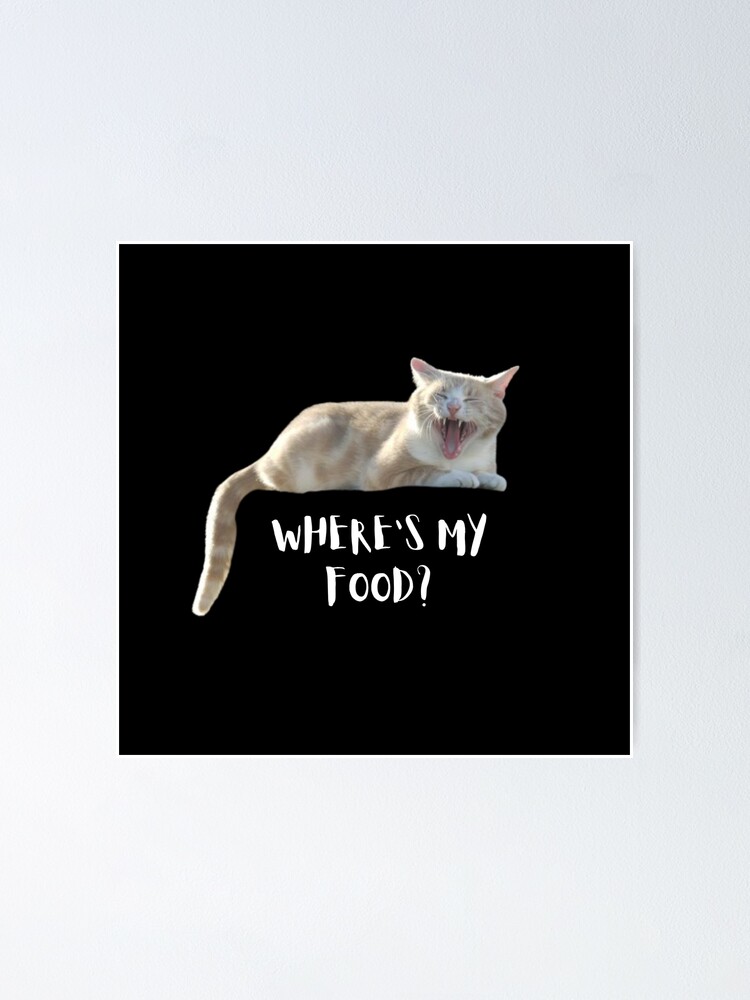 Funny Cat Meme Poster For Sale By Abdurrahmanpm97 Redbubble