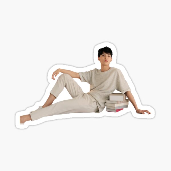 "Seventeen Mingyu" Sticker for Sale by jellycactus | Redbubble