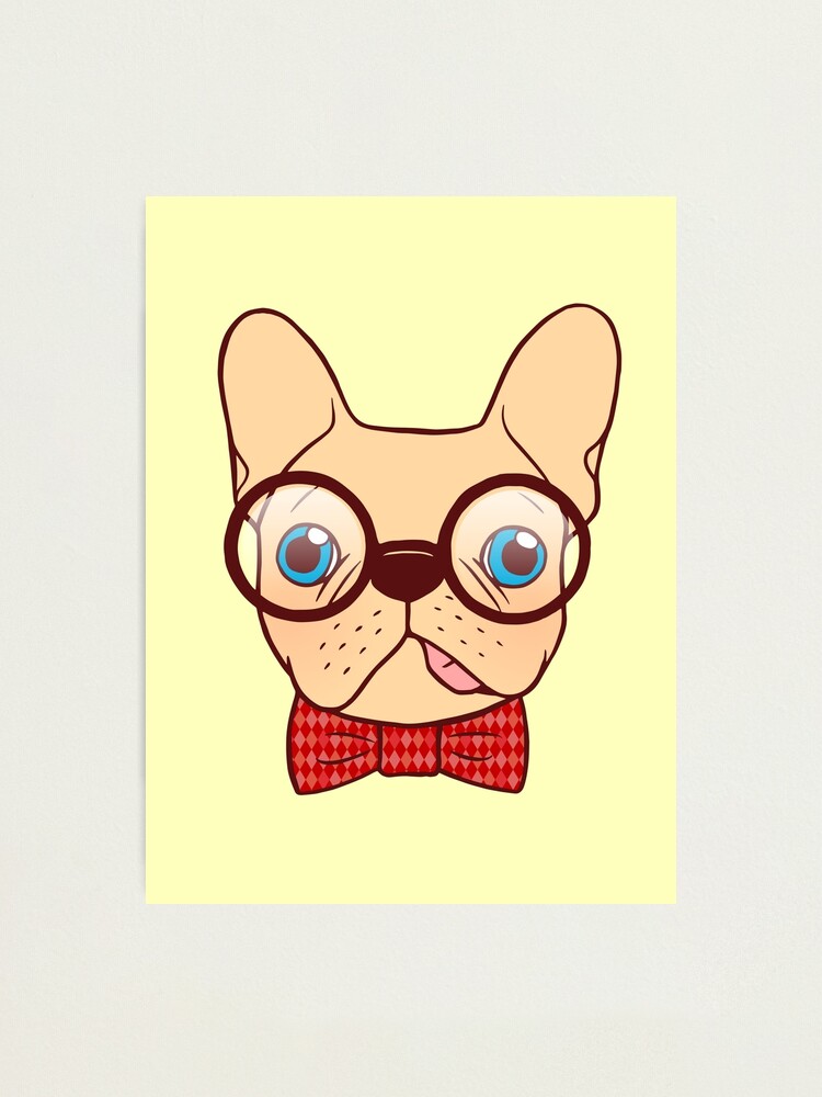 "Preppy Frenchie is ready for school with his new bow tie" Photographic ...