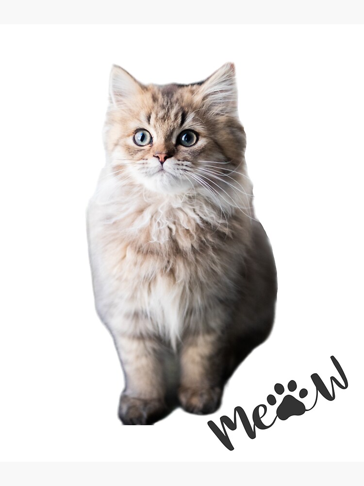 "meaw...meaw" Sticker for Sale by Bestways | Redbubble