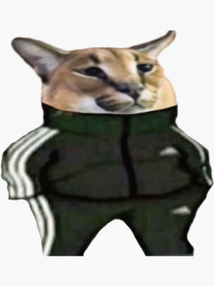 "Slav Floppa aka Sloppa " Sticker for Sale by FullThrottleLif | Redbubble