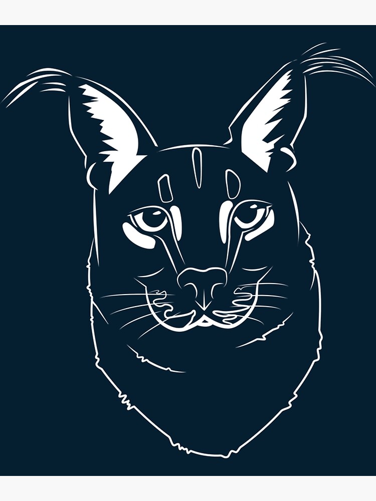 "Floppa White Line" Poster for Sale by FullThrottleLif | Redbubble