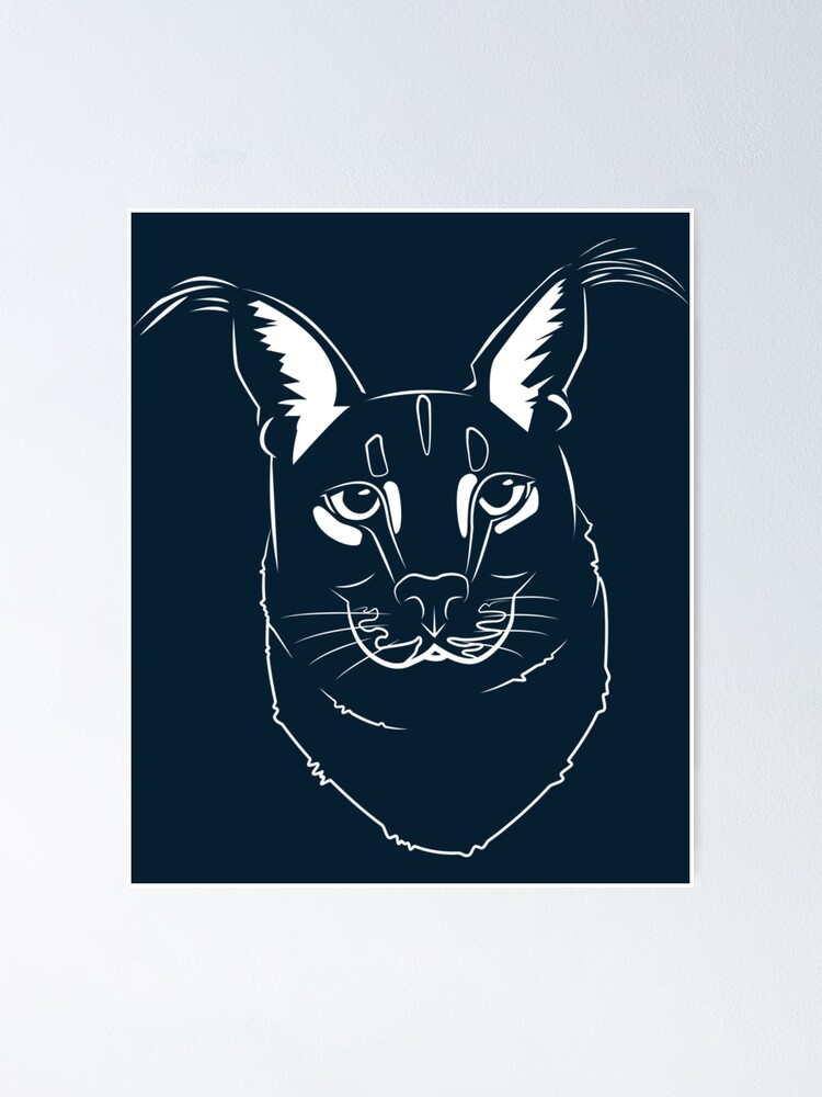 "Floppa White Line" Poster for Sale by FullThrottleLif | Redbubble