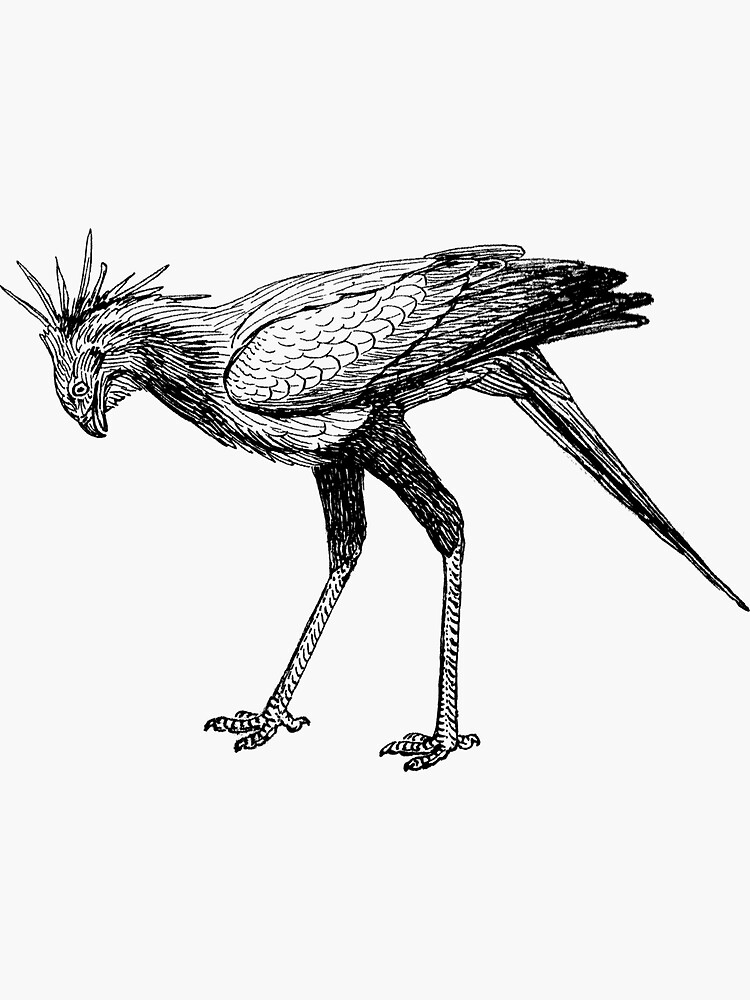"Secretary Bird" Sticker for Sale by seriouscereal | Redbubble