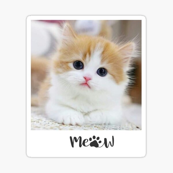 "meaw...meaw" Sticker for Sale by Bestways | Redbubble