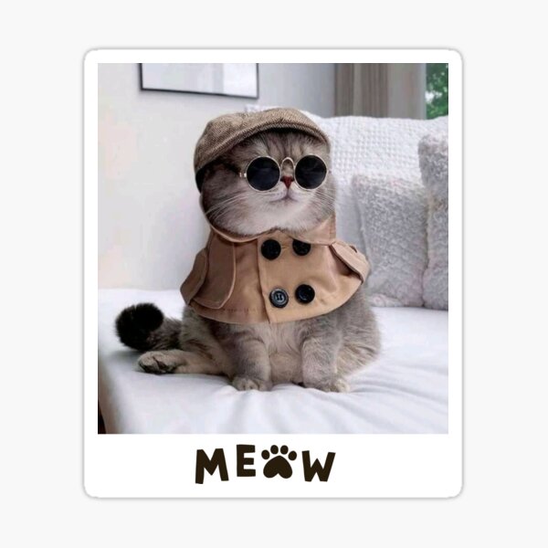 "meaw...meaw" Sticker for Sale by Bestways | Redbubble