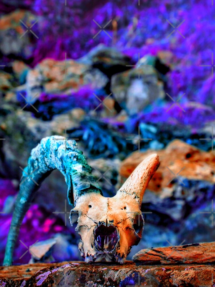 "Ram's skull" Poster for Sale by B1Alessandrath | Redbubble