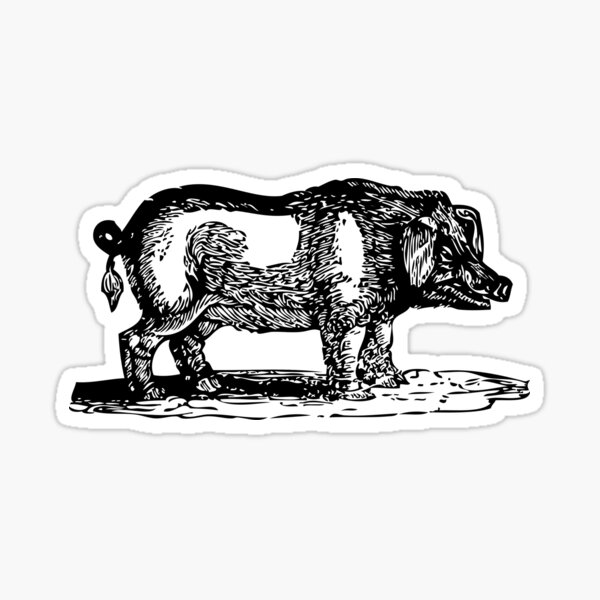 "Hog" Sticker by seriouscereal | Redbubble