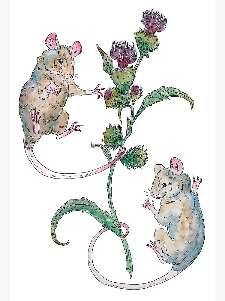 "mouse and thistle" Poster for Sale by hycary | Redbubble
