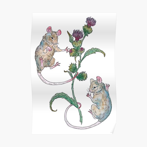 "mouse and thistle" Poster for Sale by hycary | Redbubble