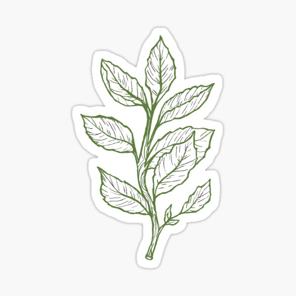 "Green plant line art " Sticker for Sale by piper-j-art | Redbubble