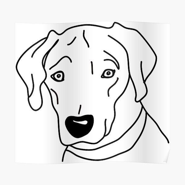 "rhodesian ridgeback" Poster for Sale by dog-shirt | Redbubble