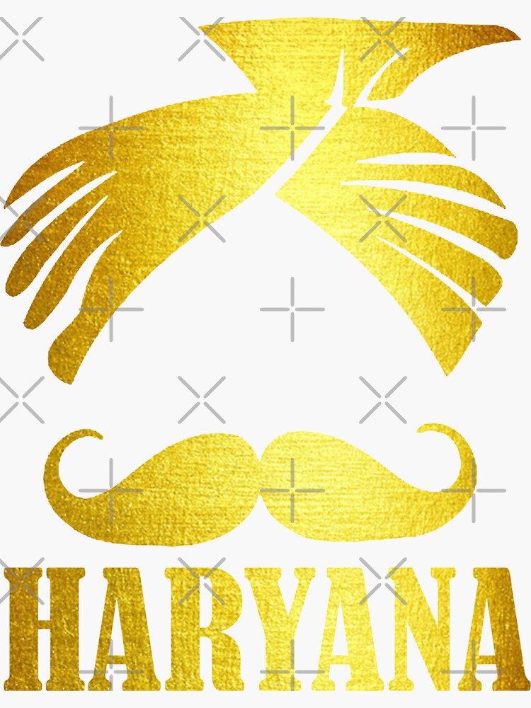 "Haryana shirt" Sticker for Sale by Trikav | Redbubble