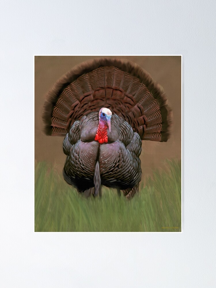 "Wild Turkey" Poster for Sale by Skyviper | Redbubble