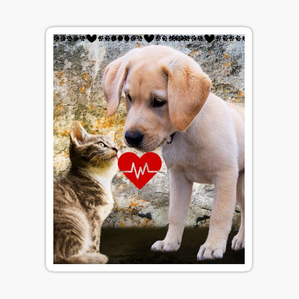 "meaw....meaw" Sticker for Sale by Bestways | Redbubble