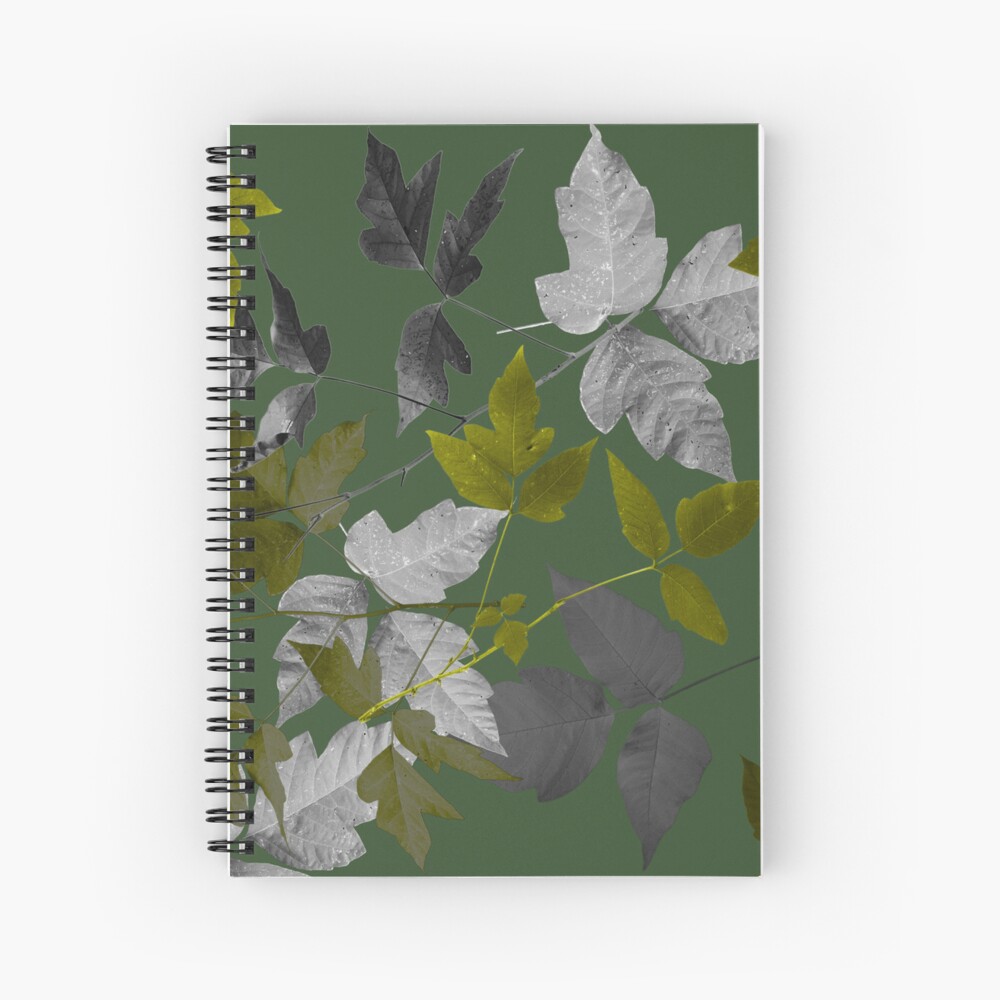 "Real Poison Ivy Leaves | Poison Ivy Plant | Botanical Poison Ivy ...