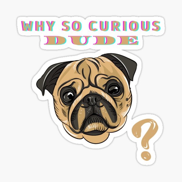 "why so curious !!" Sticker for Sale by halimaagshop | Redbubble