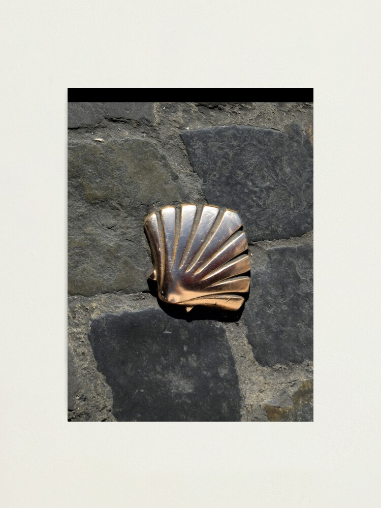 "Camino de Santiago Compostela Scallop Shell on Cobblestone ...