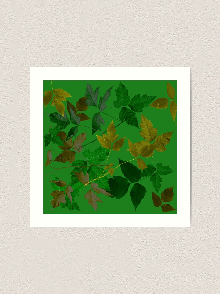 "Poison Ivy Costume Botanical Poison Ivy Print Real Poison Ivy Plant ...