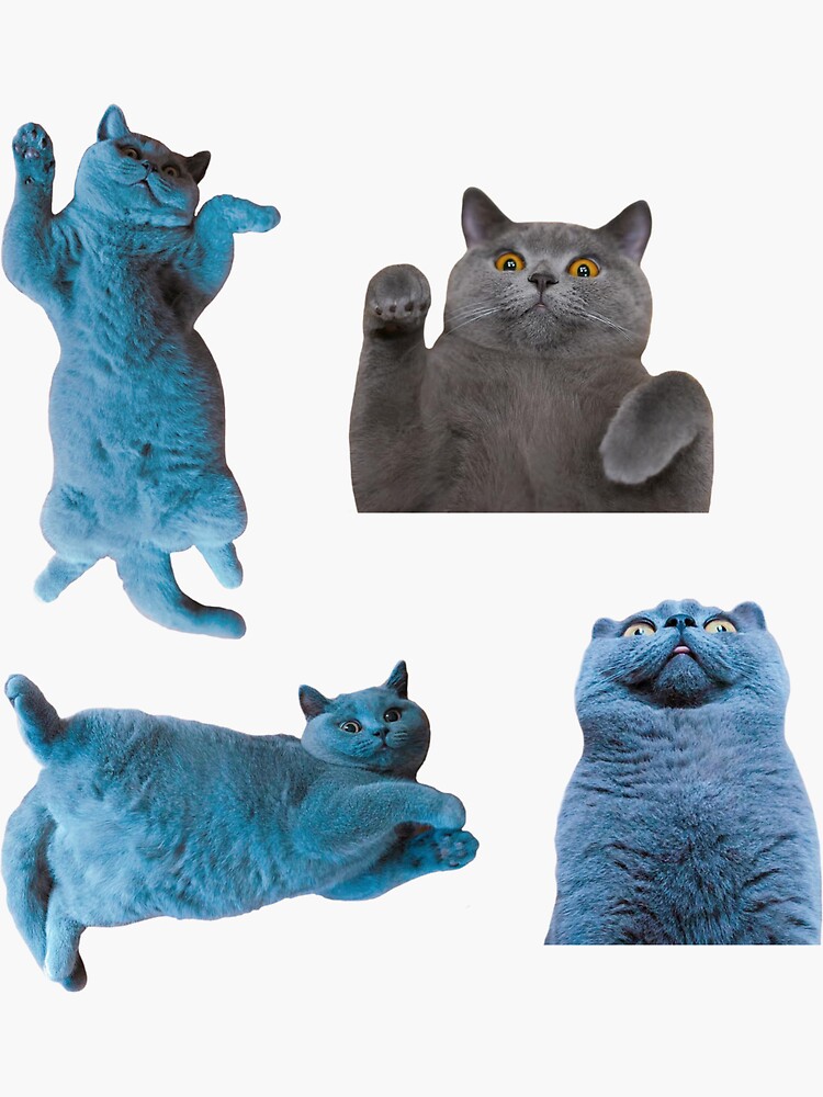 "Silly Kitties Cats Sticker Pack" Sticker for Sale by Sillypawsclub ...