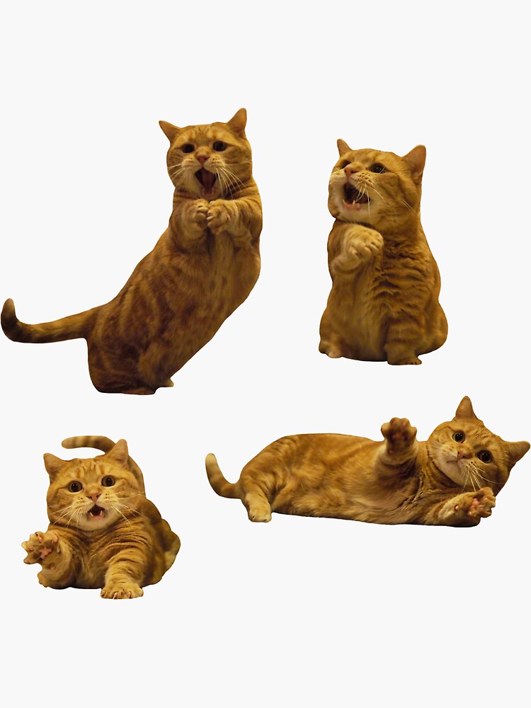 "Funny Meme Kitties Cats Sticker Pack" Sticker for Sale by ...