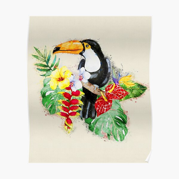 "Watercolor Toco Toucan Bird Portrait, Toco Toucan Bird Illustration ...