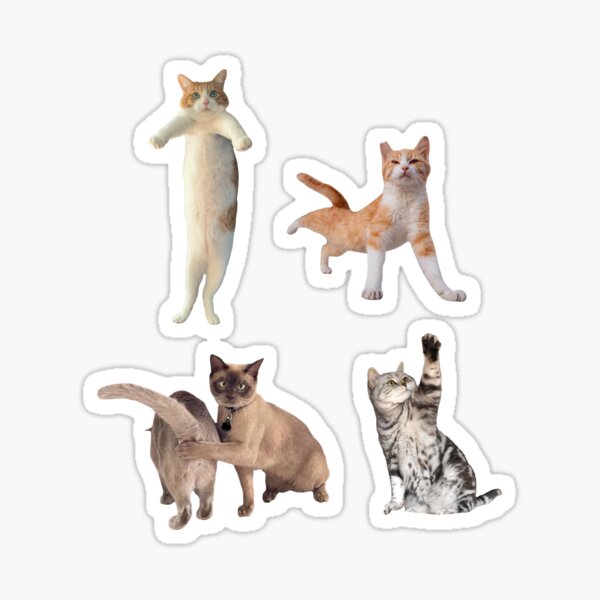 "Meme Funny Kitties Cats Cute Silly Sticker Pack" Sticker for Sale by ...