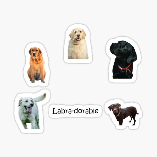 "Dog stickers pack, 6in1 ! Labra-dorable edition" Sticker for Sale by ...