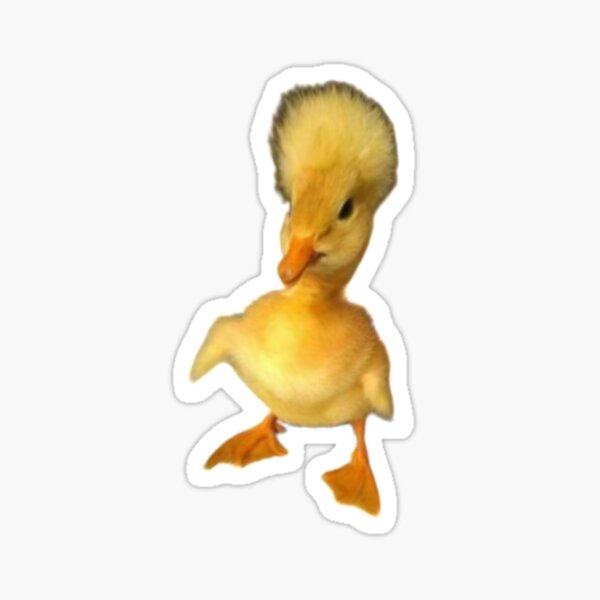 "wobble duck" Sticker for Sale by Olevel | Redbubble