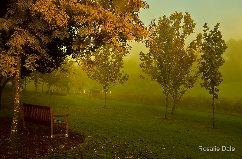 "April mist" by Rosalie Dale | Redbubble