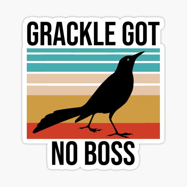 "Grackle Got No Boss - Animal bird Lovers " Sticker for Sale by ABIHIA ...