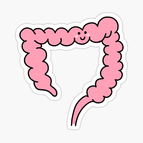 "Intestines | Colon" Sticker for Sale by olivierxx33 | Redbubble