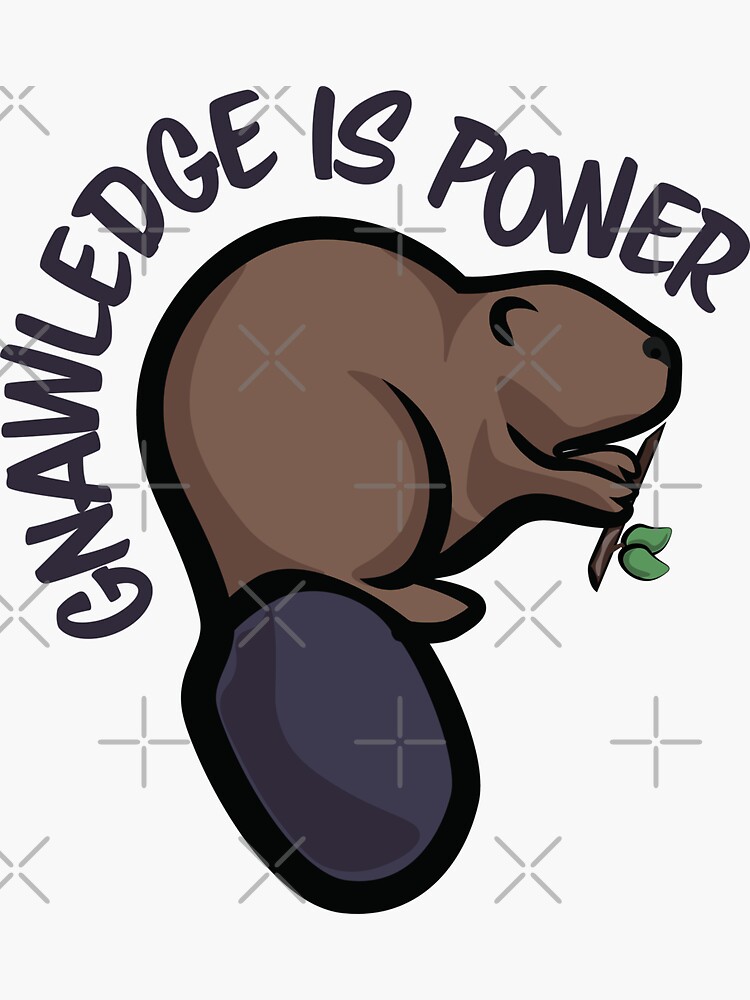 "Gnawledge Is Power Beaver" Sticker for Sale by InkLayer | Redbubble