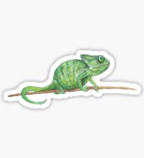 Chameleon Stickers | Redbubble