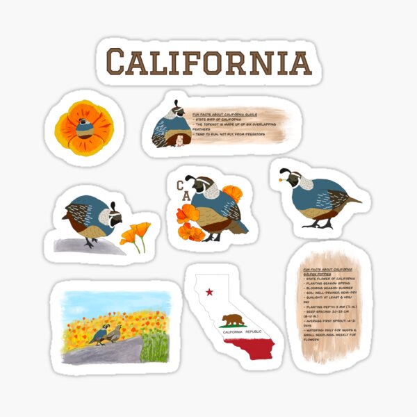 "California State Valley Quail and Golden Poppy Sticker Pack" Sticker ...
