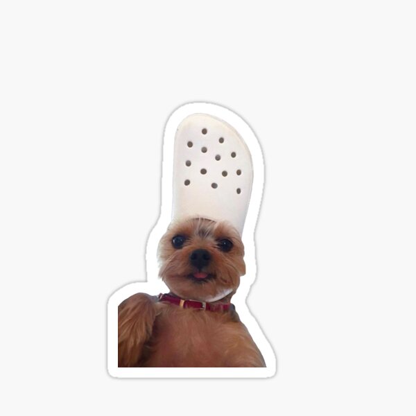 "Dog with Crocs" Sticker for Sale by jellywellies | Redbubble